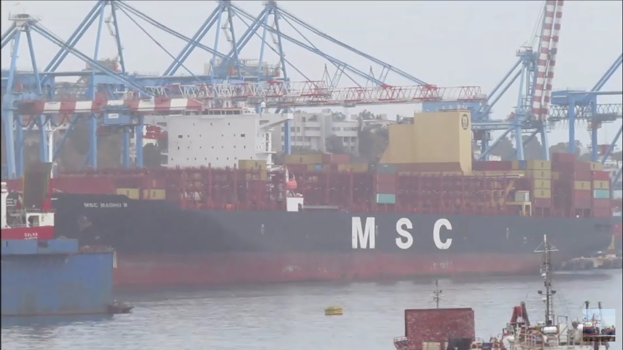 Shipspotting-MSC MADHU B-MV DALKA-BULK CARRIER LS OCEAN en el puerto de ...