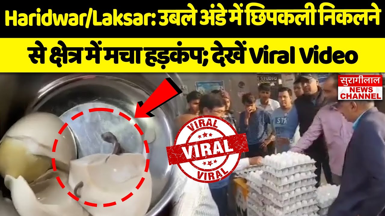 Haridwar/Laksar: उबले अंडे में छिपकली निकलने से क्षेत्र में मचा हड़कंप ...