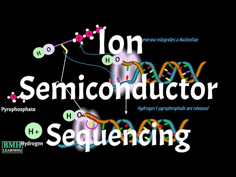Ion Semiconductor Sequencing | Ion Torrent Sequencing | Ion Torrent ...