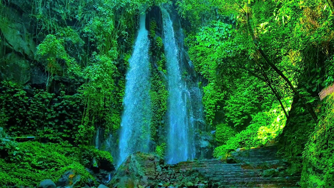 Waterfall stream sounds Water stream sounds forest stream sounds for ...