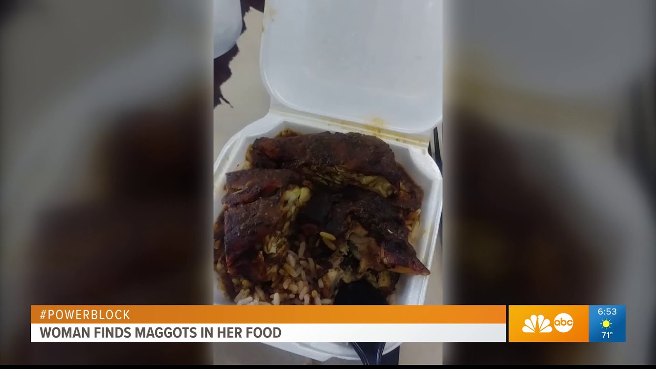Maggots In Food - Carribean Sunrise Bakery and Restaurant ...