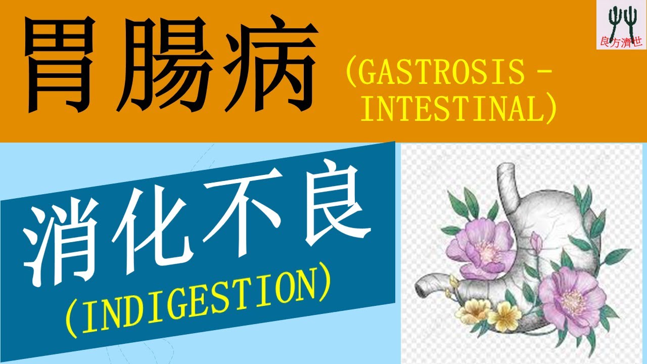 胃腸病(Gastrosis - Intestinal), 消化不良(Indigestion) - YouTube
