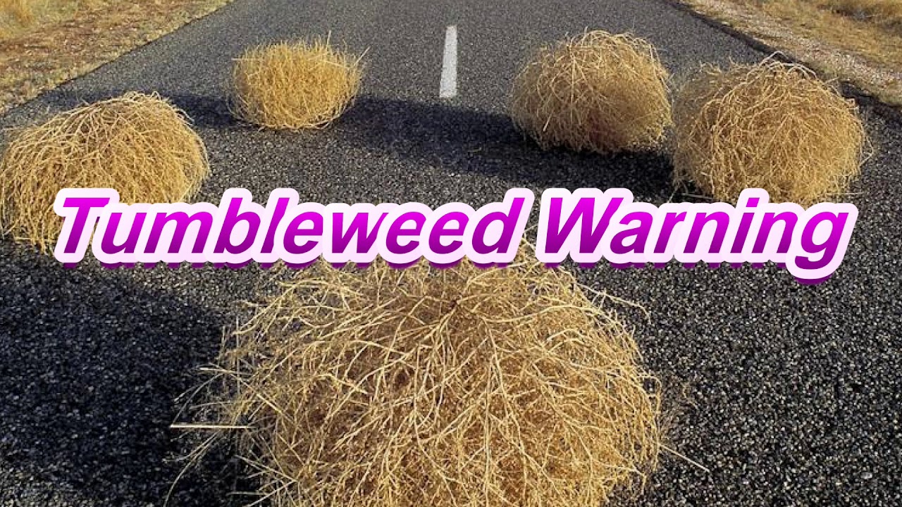 Prepare for Wind Damage with this Storm and lots of Tumbleweeds - YouTube