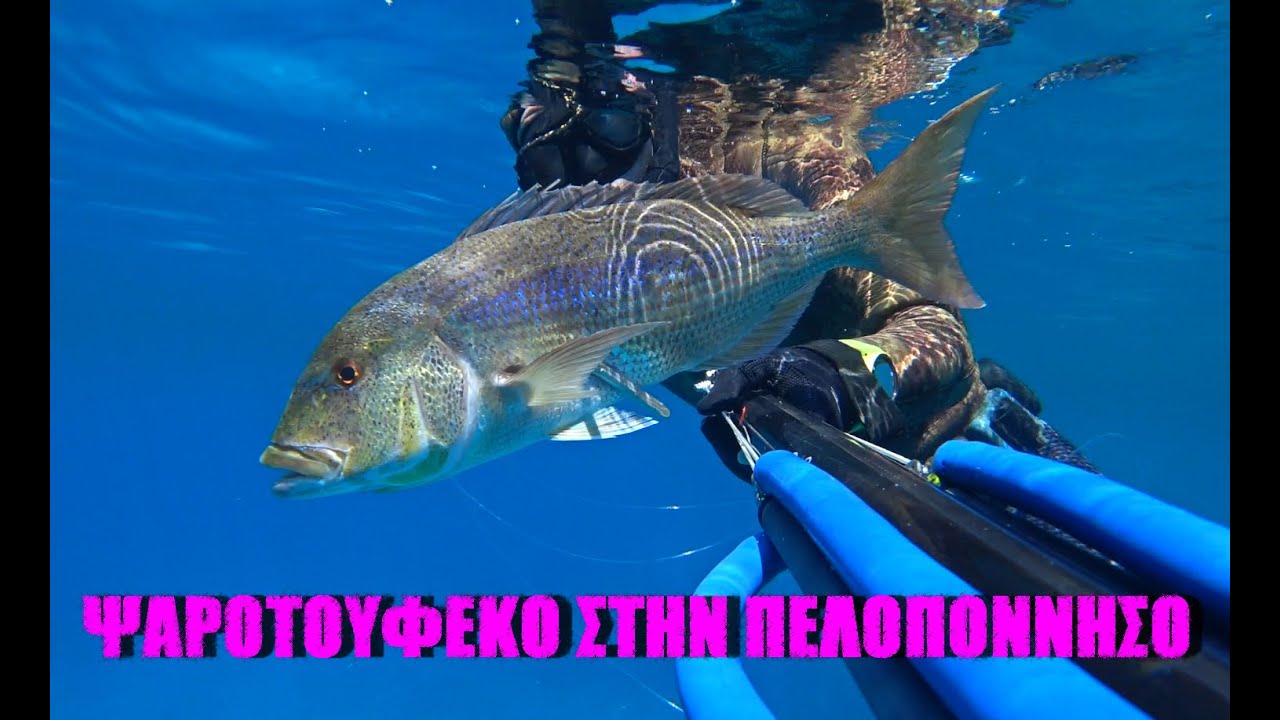 ΨΑΡΟΤΟΥΦΕΚΟ ΣΤΗΝ ΜΑΓΕΥΤΙΚΗ ΠΕΛΟΠΟΝΝΗΣΟ🔱 ΔΥΟ ΜΕΡΕΣ ΓΕΜΑΤΕΣ ΘΑΛΑΣΣΑ 🔥 ...