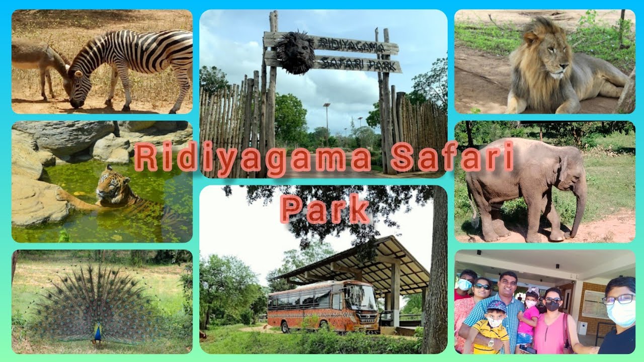 Ridiyagama Safari Park, Hambanthota - YouTube