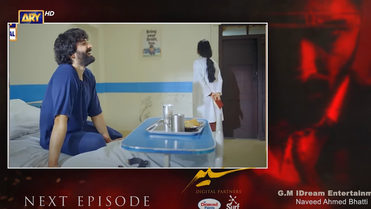 Sher Episode 9 Teaser | Review | Danish Taimoor | Sarah Khan | ARY ...