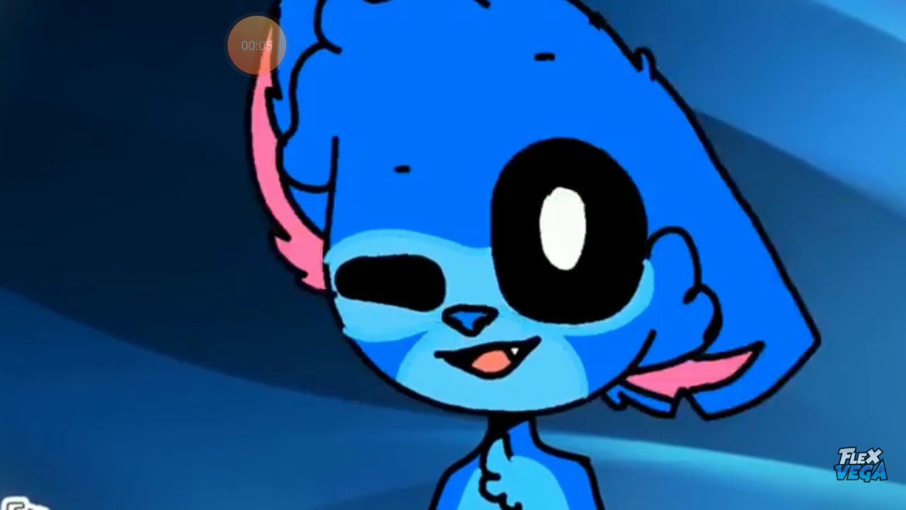 Mapache enfermo - YouTube