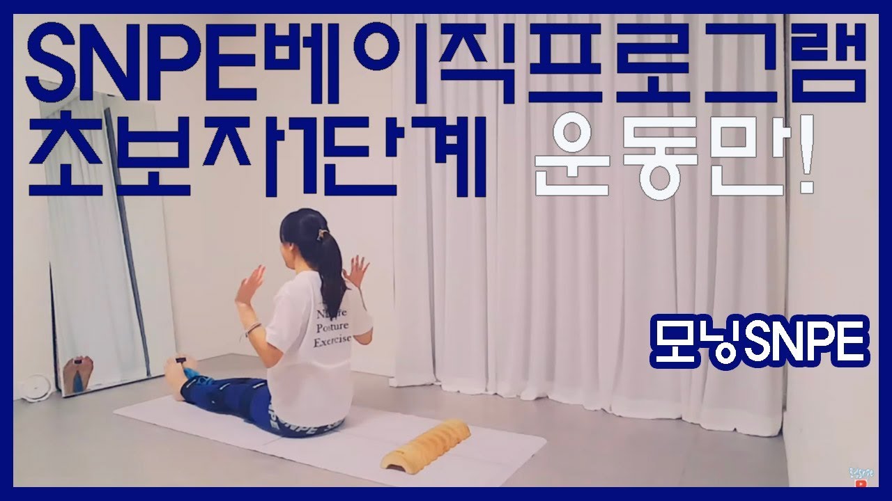 SNPE바른자세척추운동_베이직 프로그램 기본 8동작을 이용한 초보자루틴, 설명없이 운동만! - YouTube