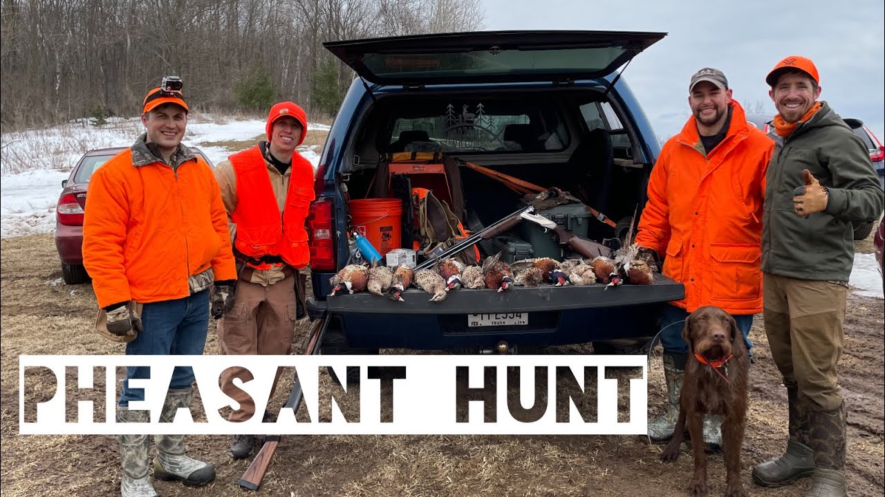 Discovering the Thrill of the Wisconsin Pheasant Hunt {CATCH CLEAN COOK ...