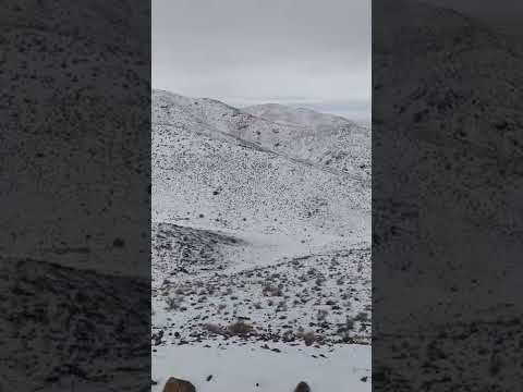 علی مویدی.  قاریاغیر نارین نارین