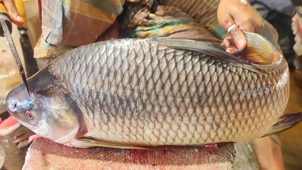 Amazing Big Rohu Fish Cutting Skills | Giant Rohu Fish Cutting Skills ...
