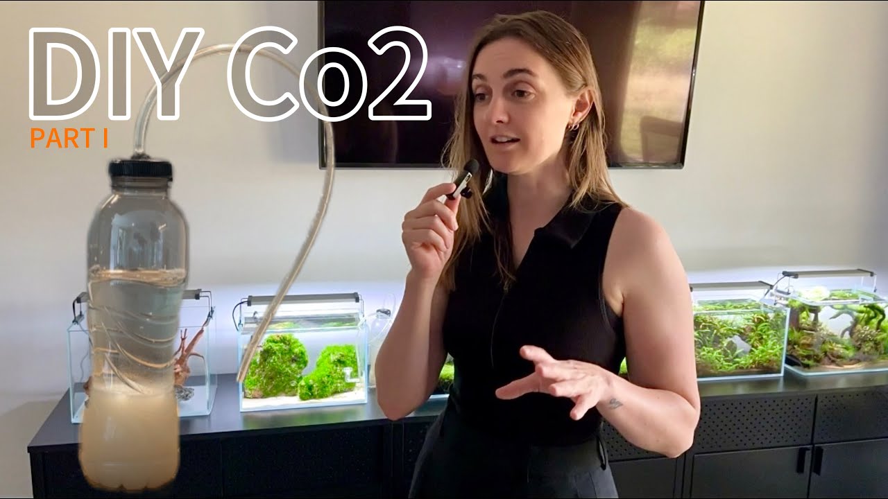 DIY Co2 System - YouTube