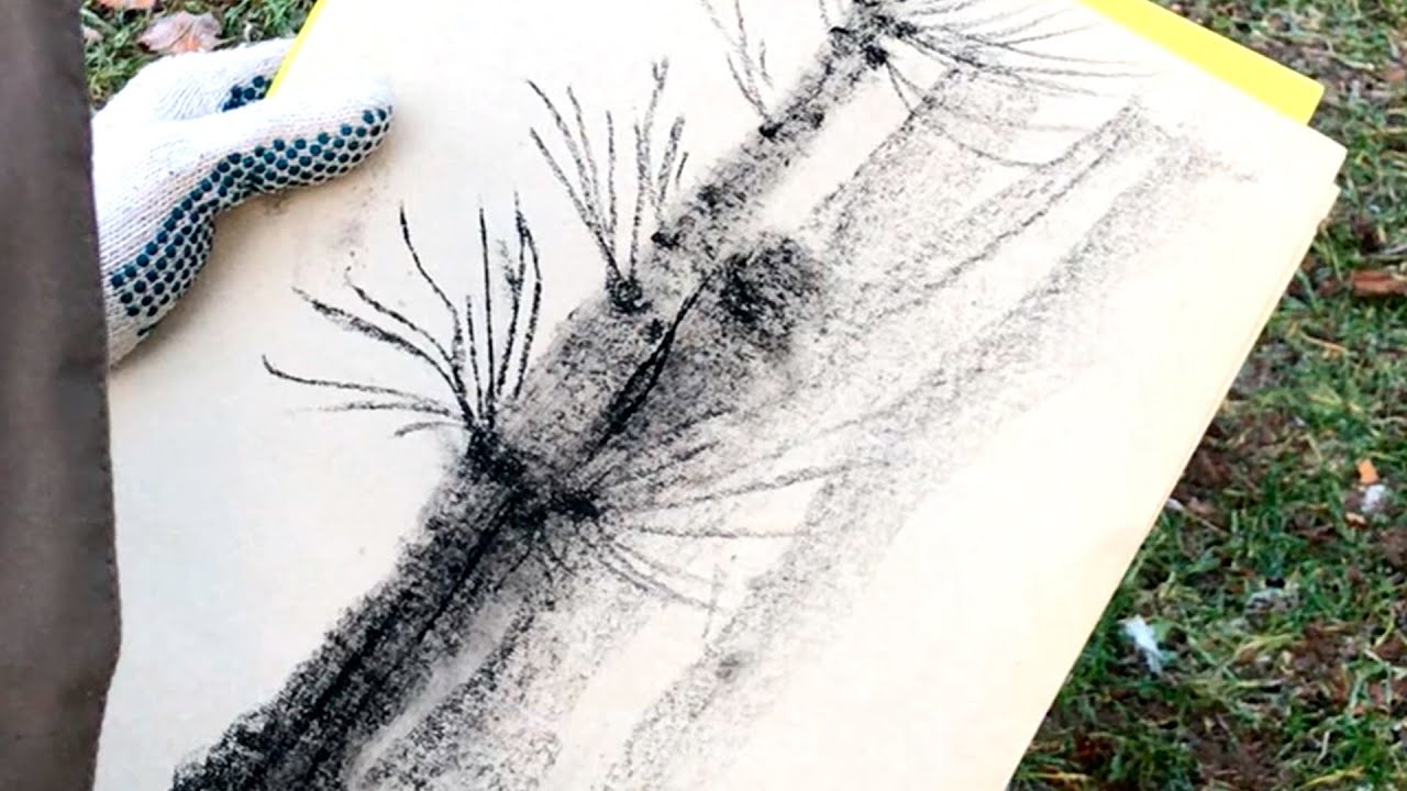 How to Sketch a Tree with Charcoal Sticks - YouTube