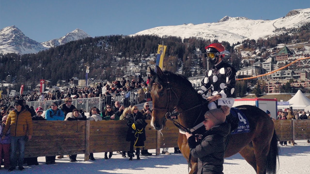 White Turf Racing Days 2023 - YouTube