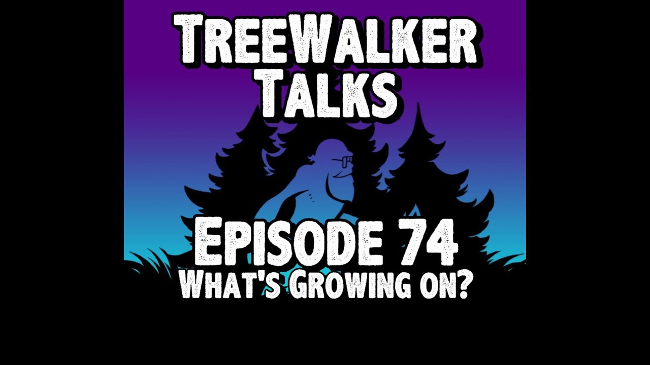 TreeWalker Talks Episode 74: What's Growing On? - YouTube