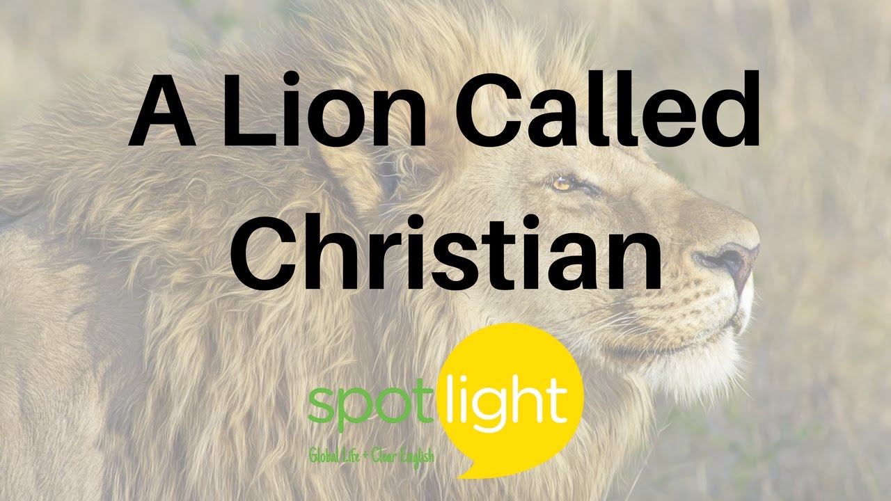 A Lion Called Christian | practice English with Spotlight - YouTube