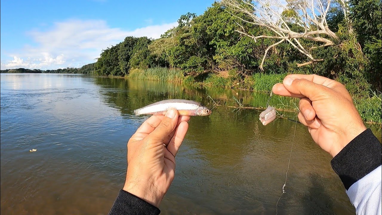 PESCARIA NO RIO DOCE. - YouTube