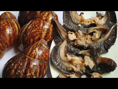 How to wash snails to remove snail slime for cooking - YouTube