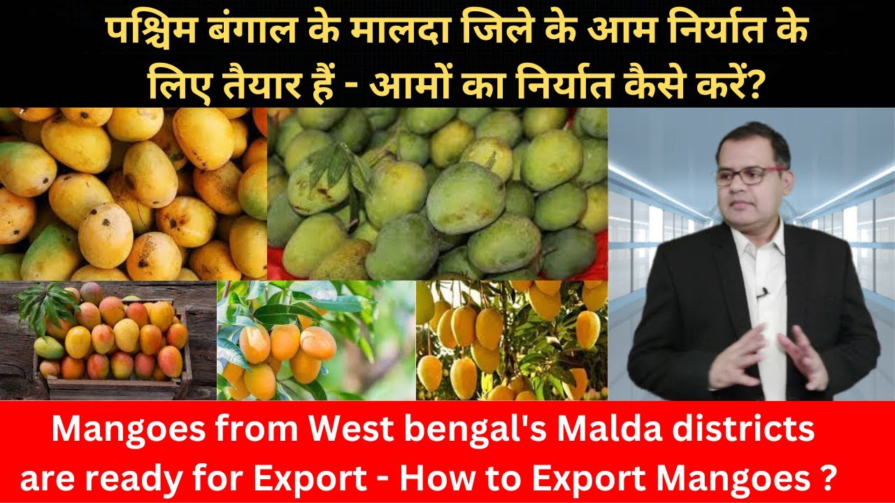 HOW TO EXPORT MANGO ? MANGO EXPORT FROM INDIA. GLOBAL BUSINESS EXPERTS ...