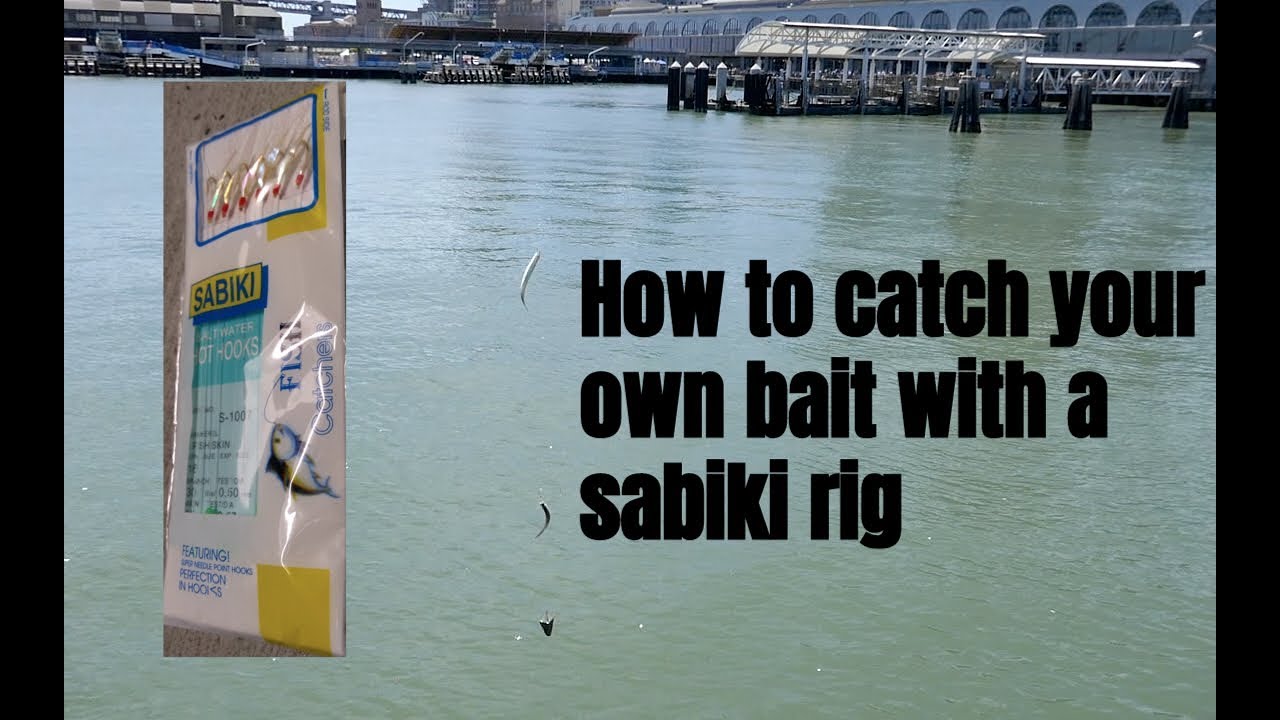 How to use a sabiki rig to get free bait - YouTube
