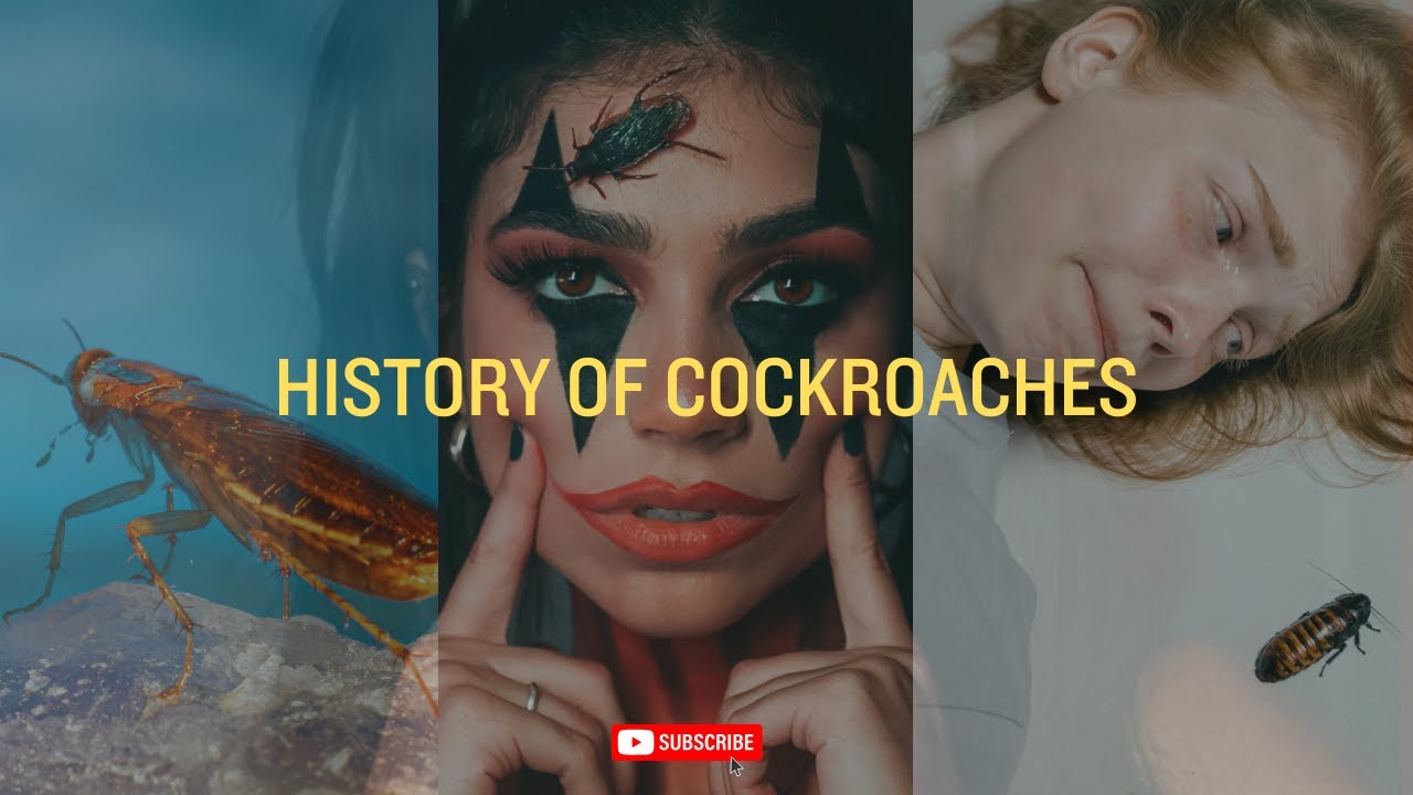 Uncovering The Fascinating History Of Jarmon Cockroaches - YouTube