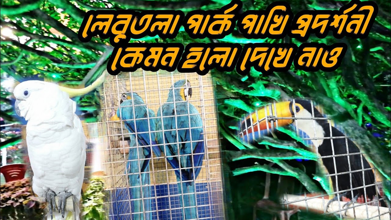 Santosh Mitra Square Bird Exhibition 2023🥰 Kolkata Bird Exhibition # ...