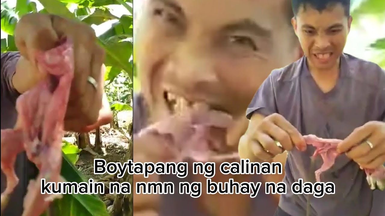 Boytapang ng calinan kumain ng buhay na daga #clarketv - YouTube