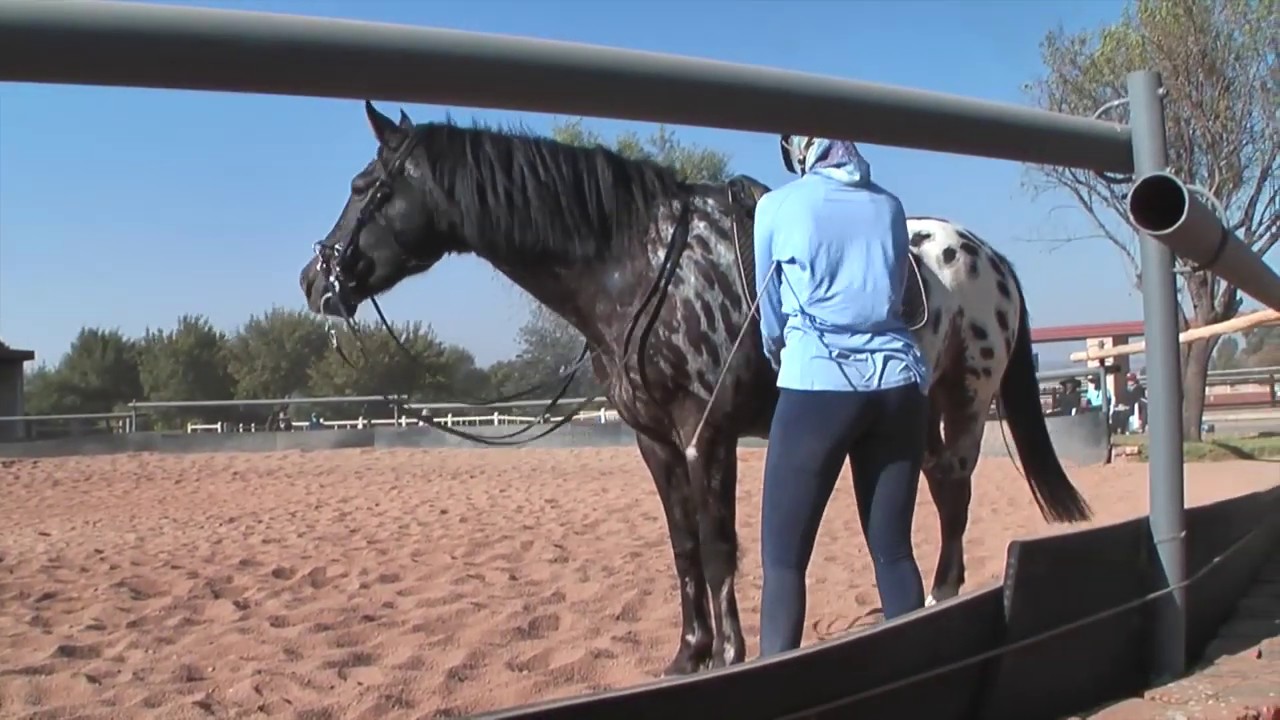 Straightness Training Demo July 2019 - YouTube