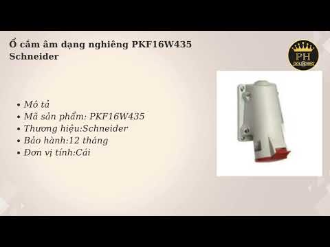 Ổ cắm âm dạng nghiêng PKF16W435 Schneider 110325 PNTrung 16:45 2 thg 4 ...