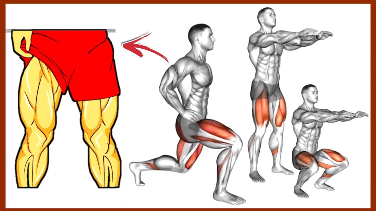 Leg Intermediate ( Home exercise) || Workout Plus - YouTube