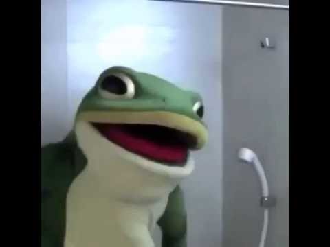 Frog In Shower😅 - YouTube