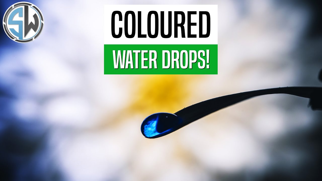 Coloured Water Drops on Flowers | Macro Photography - YouTube