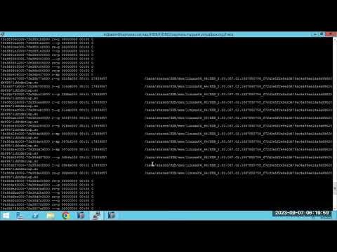 SAP HANA 2.0 - SYSTEM DOWN ISSUES FIXING (PERSISTENCE LAYER CORRUPTED) - YouTube