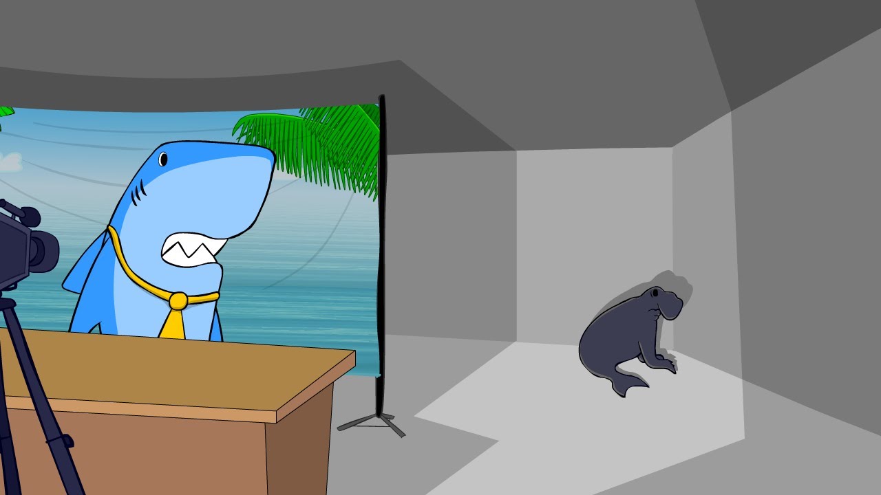 Shaaark addresses the elephant in the room - YouTube