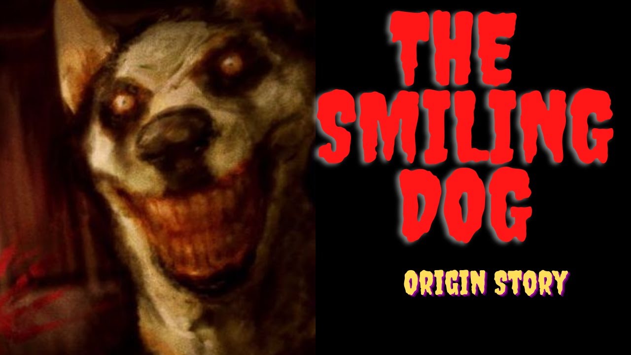 Smile Dog Real Story