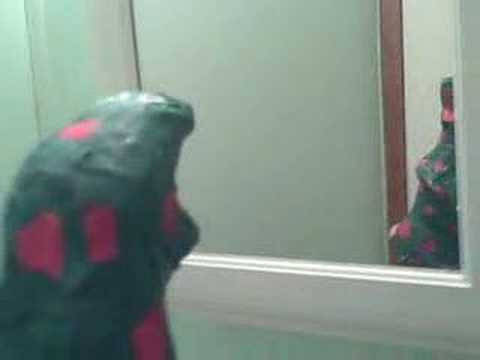 Barney Teletubby : THE MOVIE