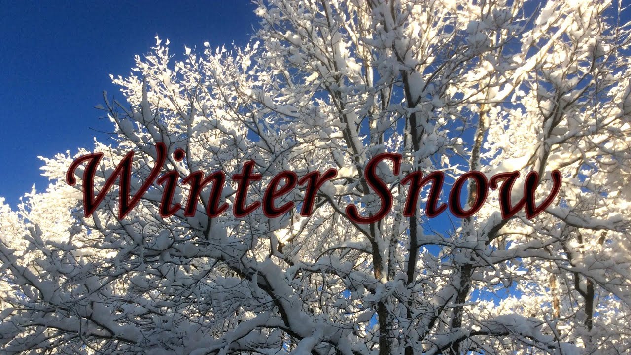 Winter Snow (cover) with Lisa Prokopowitz - YouTube