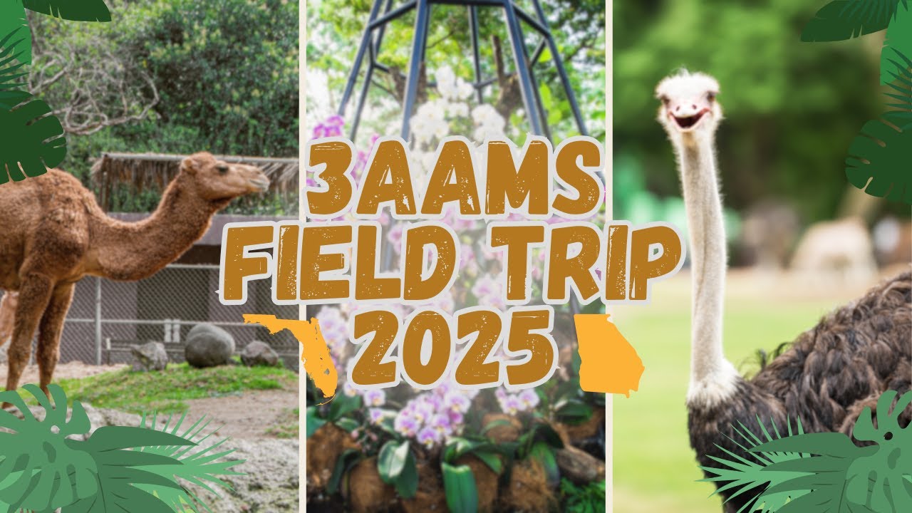 3 Angels Academy Mission School's First Annual Field Trip | Florida ...