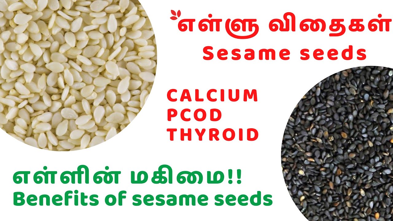 Benefits Of Sesame Seeds Tamil Healthia benefits-of-sesame-seeds-tamil-healthia