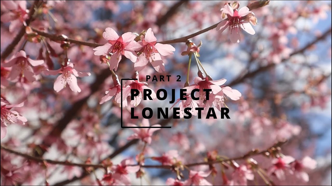 PROJECT LONESTAR EP 2/ REALISTIC WEEK IN THE LIFE - YouTube