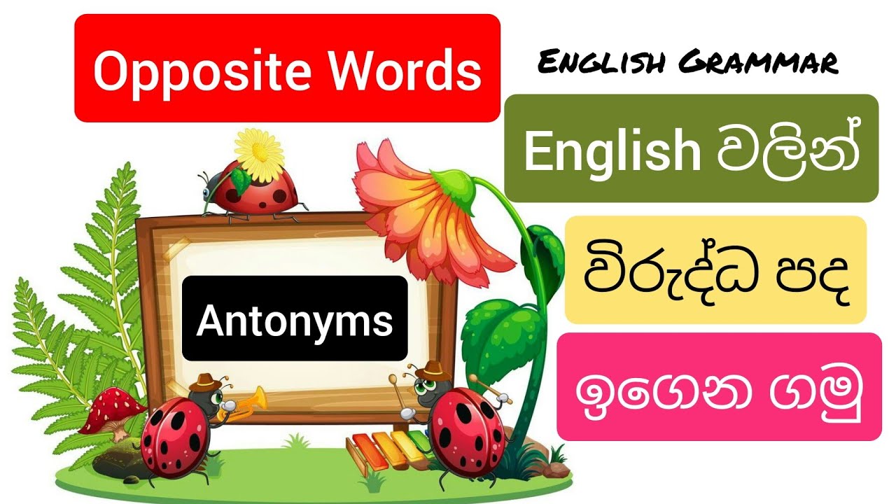 Opposite words || Antonyms || විරුද්ධ පද || දරුවන්ට ඉංග්‍රීසි ...