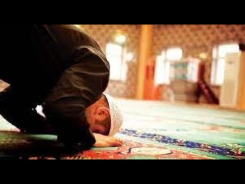 Dəlinin nəsihəti (İbrətamiz hekayə)