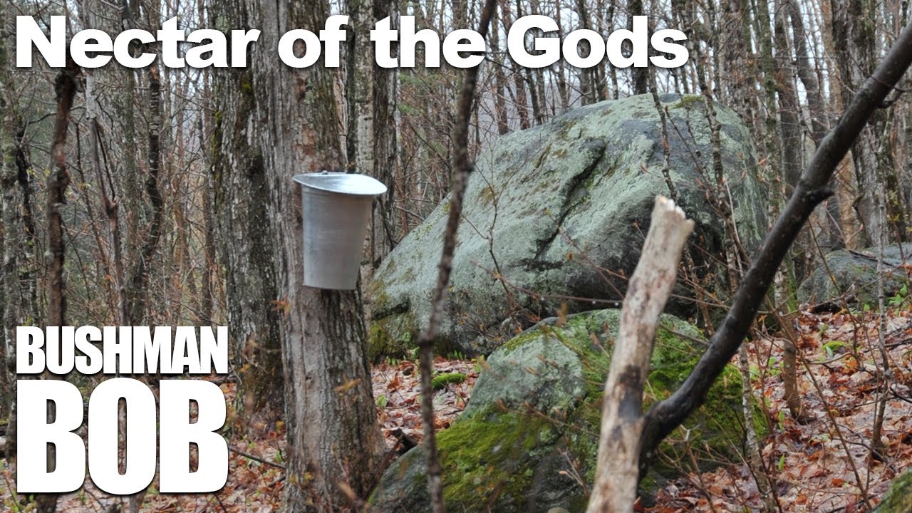 Bushman Bob | Episode 24 | Nectar of the Gods - YouTube