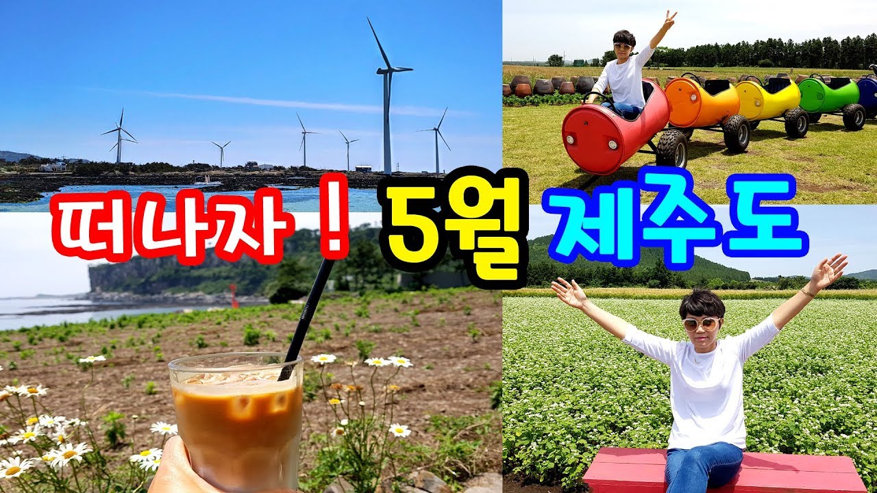 5월 제주도 여행 가볼만한곳 관광코스 제주 2박3일 여행 코스 갈만한곳 볼거리~ Youtube