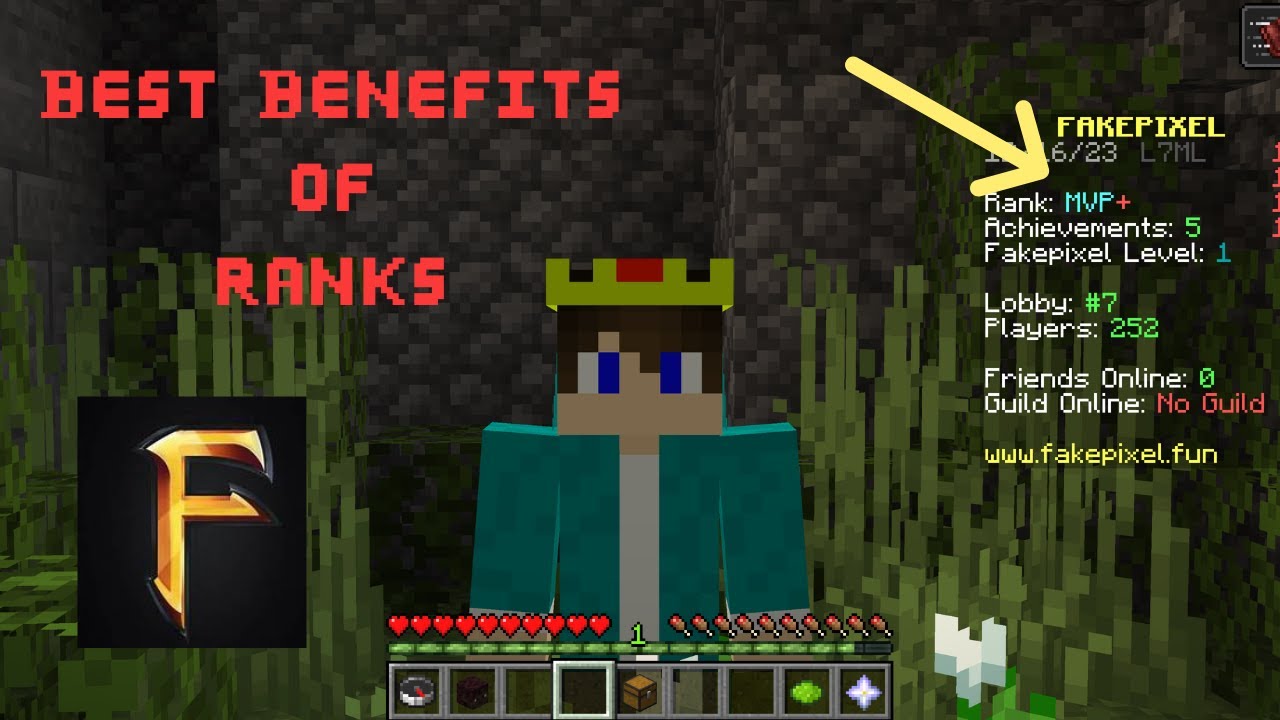 What are the Benefits of Ranks In Fakepixel Skyblock | @AnuDadaGaming ...