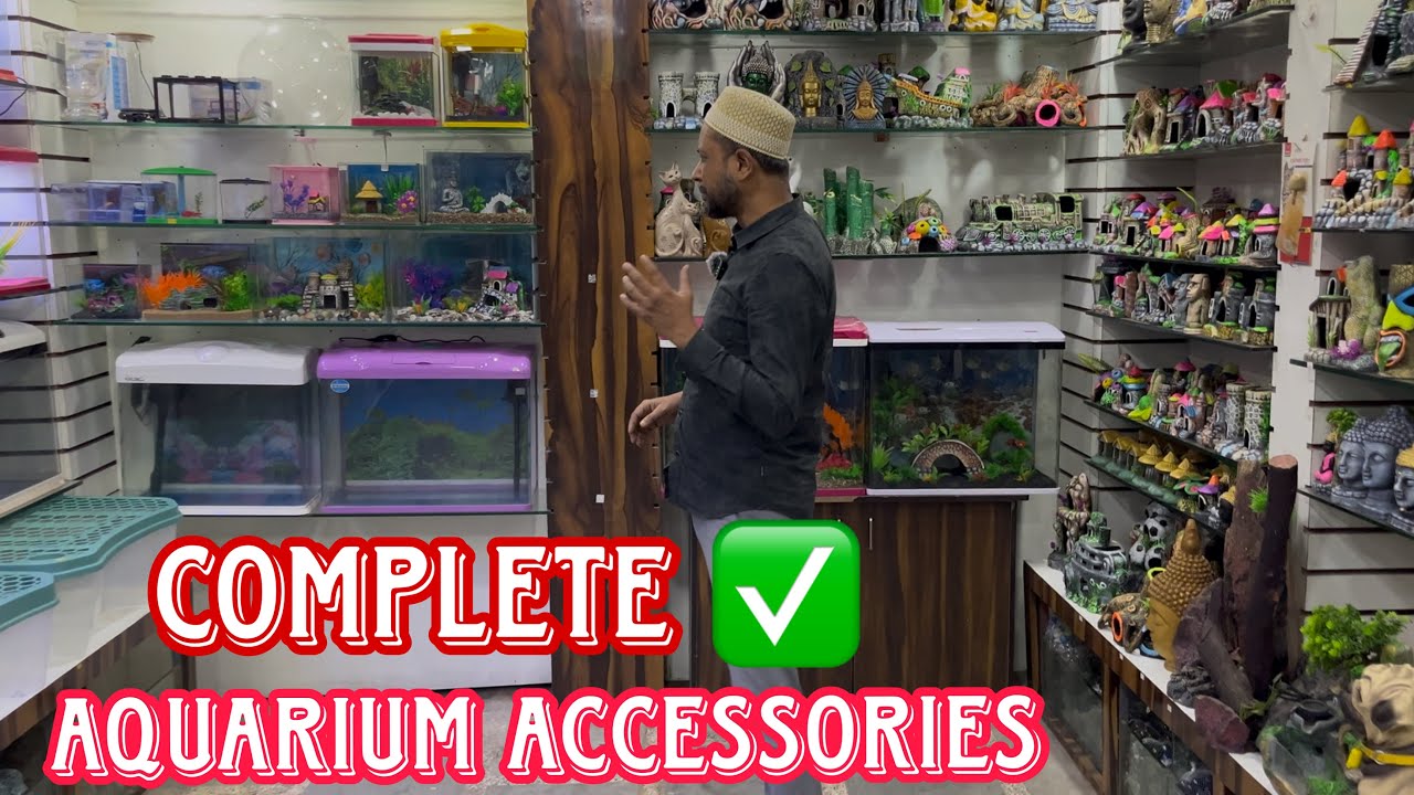 This Festive Session Best Offer Price Range At Fish N Fun | A Complete ...
