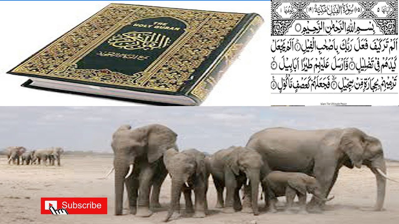 surah alam tara kaifa story