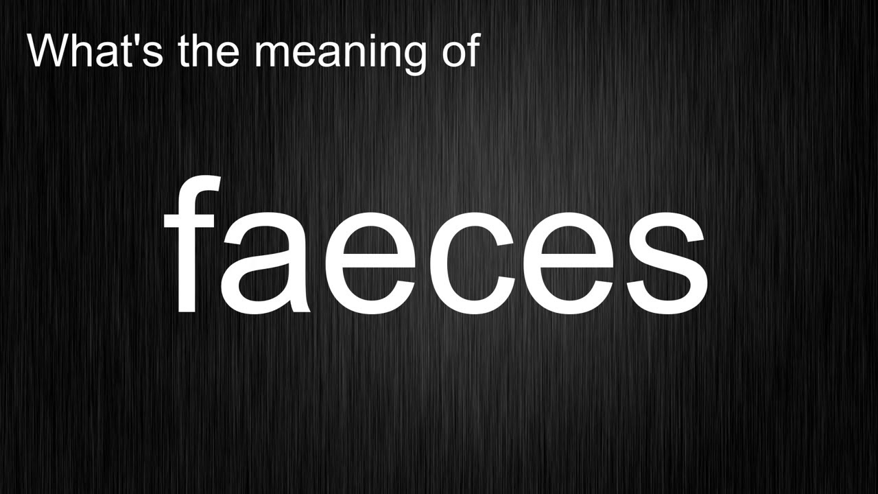 What s The Meaning Of faeces How To Pronounce Faeces YouTube