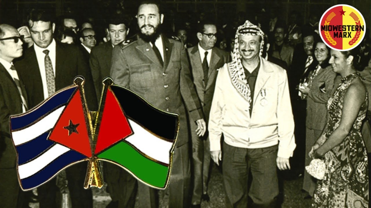 Palestinians in Cuba Discuss Israeli Genocide - YouTube