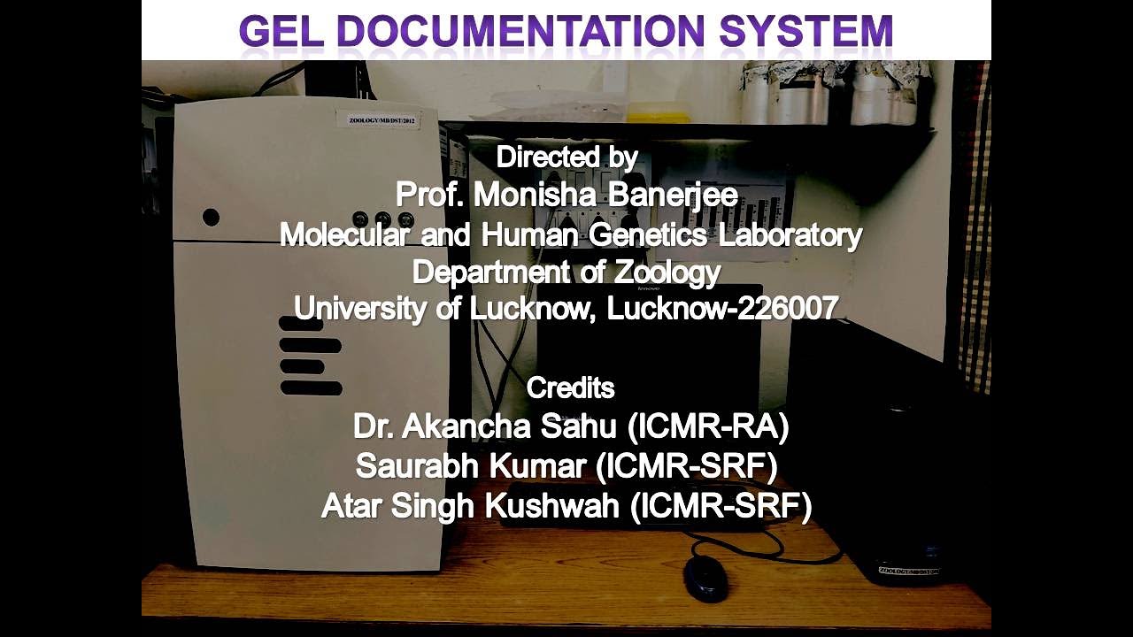 Gel Documentation - YouTube
